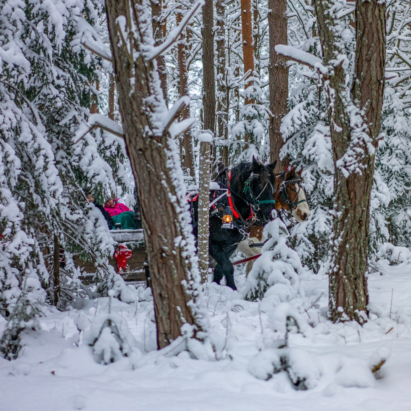 Hohmeyer's Lake Clear Lodge & Resort in the Adirondacks, NY | Official Site