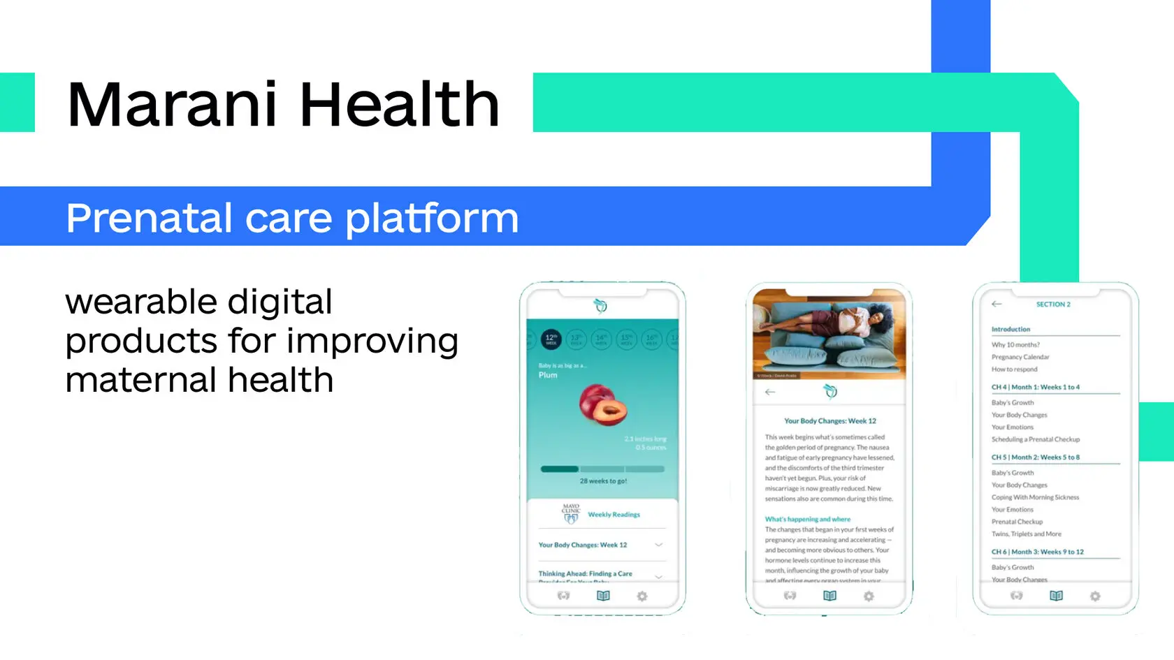10 Healthcare Tech Companies That are Changing the Industry in 2024
