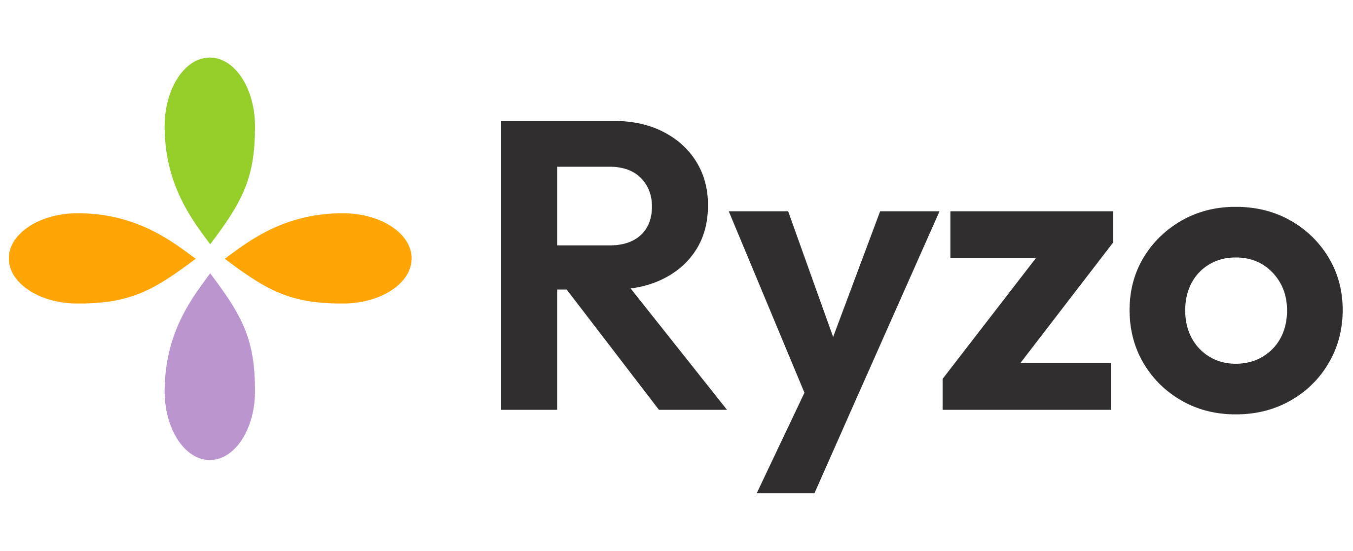 The Ryzo Platform