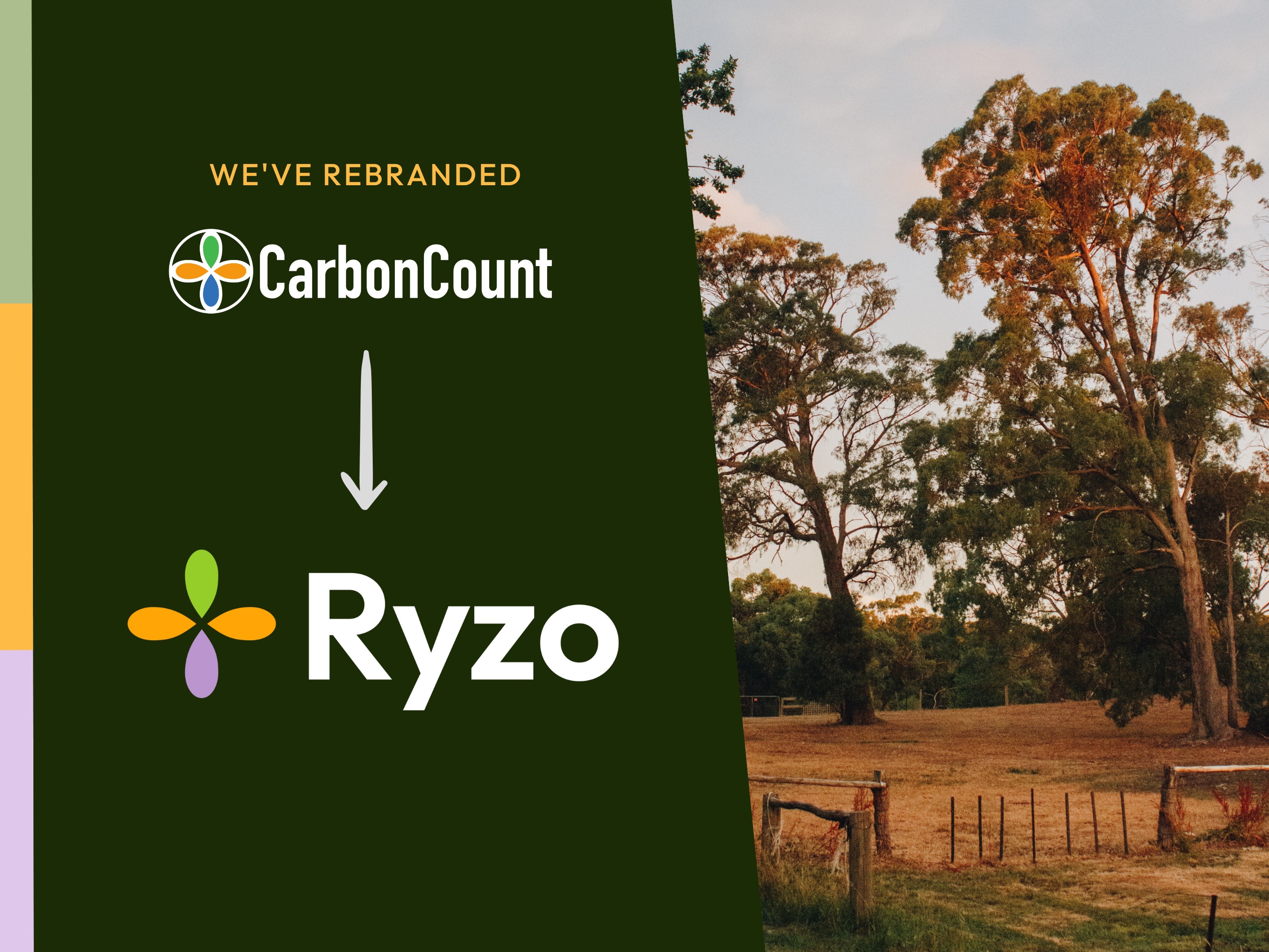 Planting Seeds of Transformation: Carbon Count Rebrands to Ryzo ...