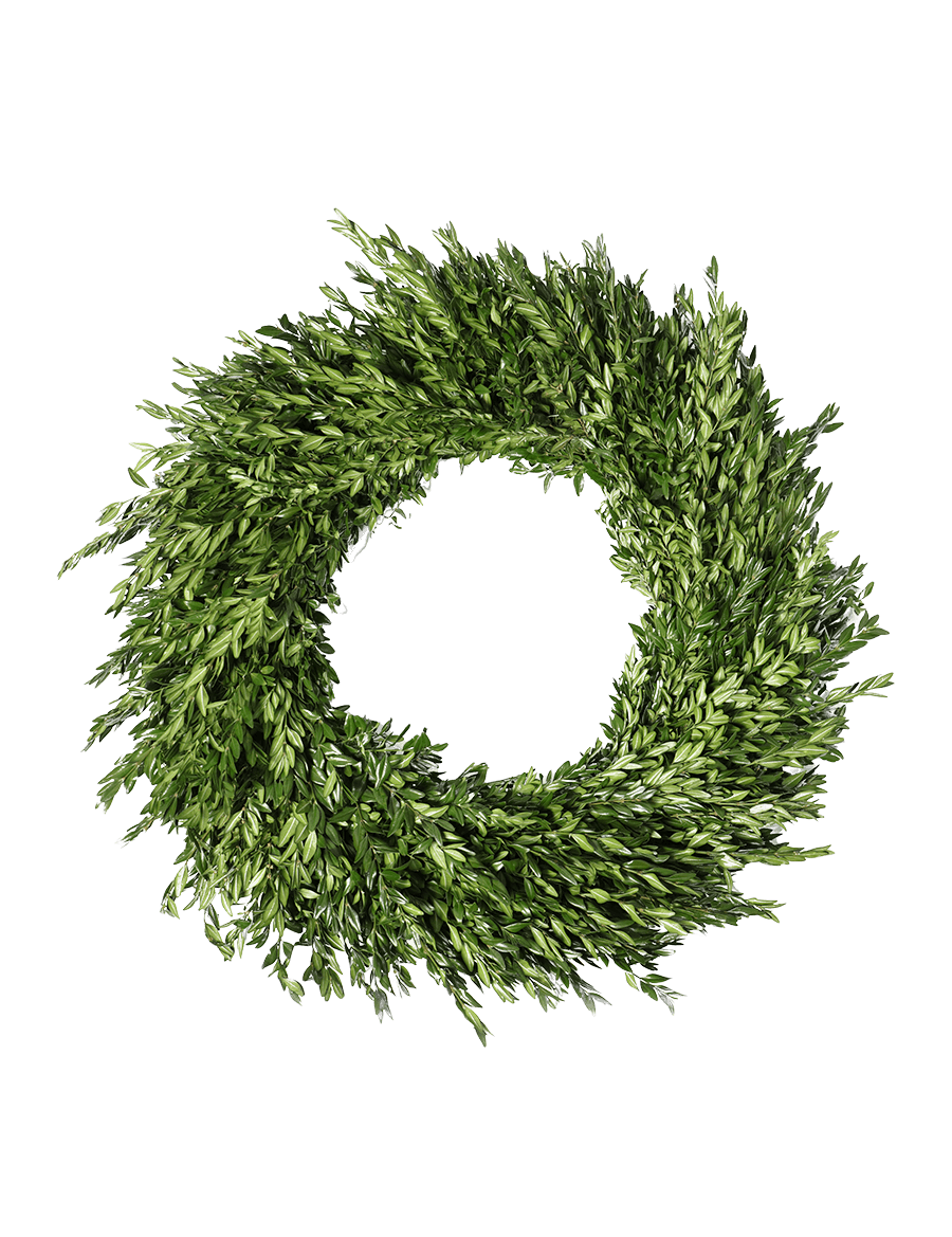 The Boxwood Wreath plant from Continental Floral Greens