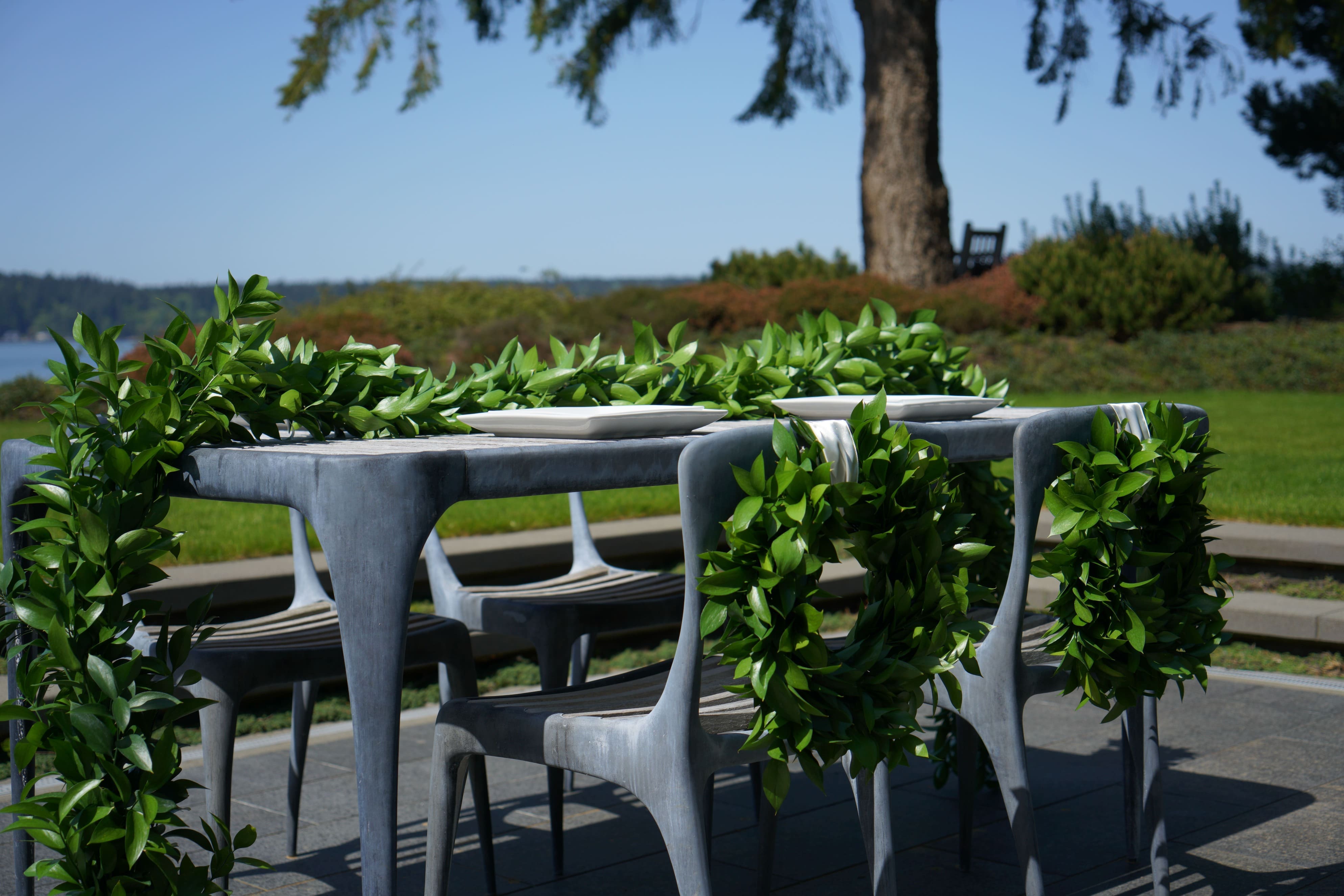 The Israeli Ruscus plant from Continental Floral Greens