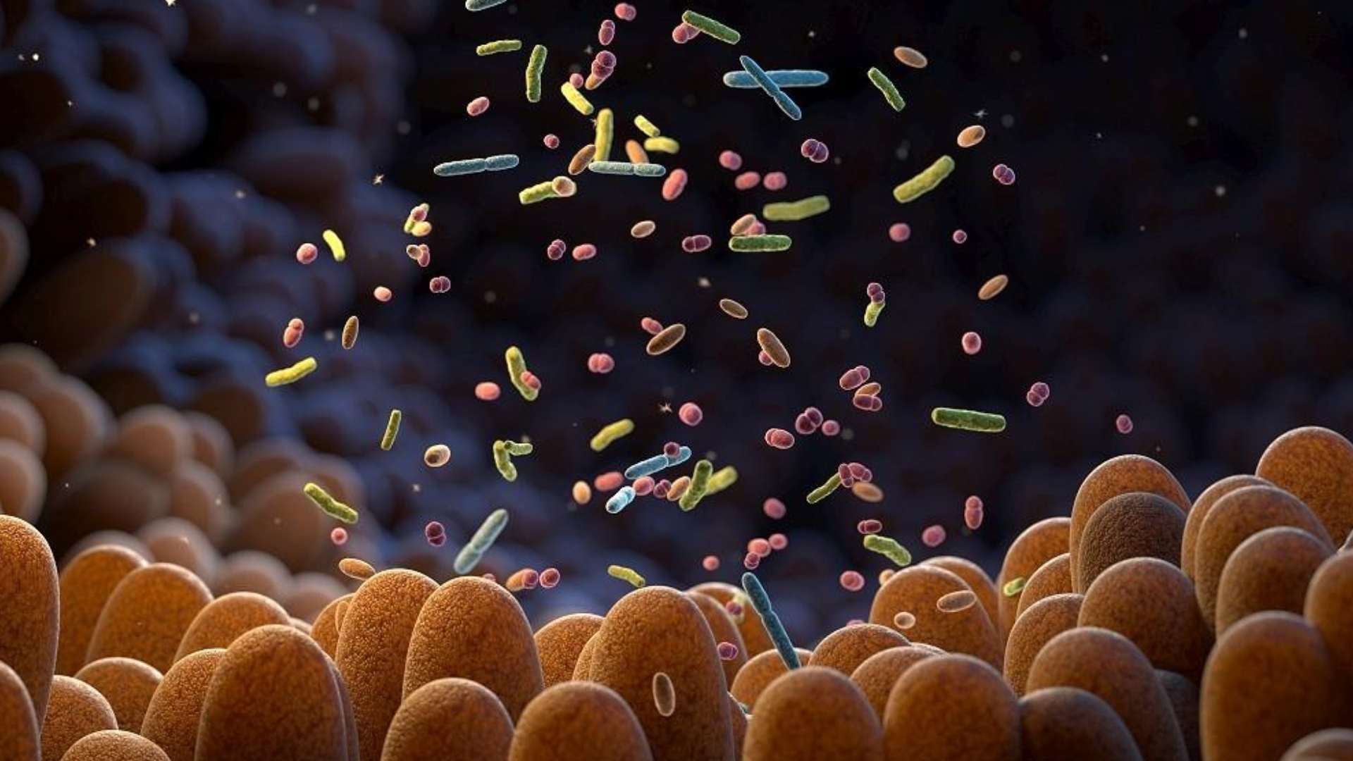 ¿Por qué todas las enfermedades comienzan en el intestino? | Blog