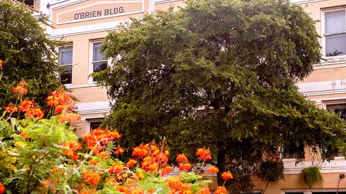 O'Brien Riverwalk Boutique Hotel