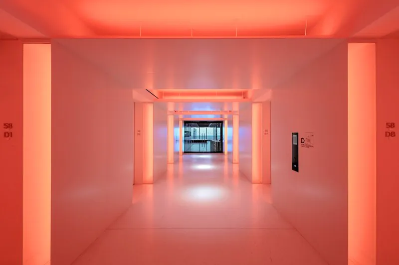 IEX Group, Inc. | Home of IEX Exchange, IEX Cloud, and More