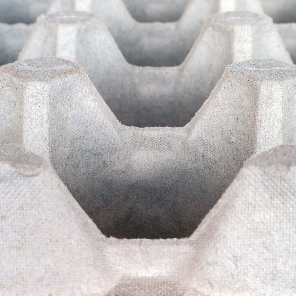 The comprehensive guide to molded pulp packaging | Ecobliss Retail