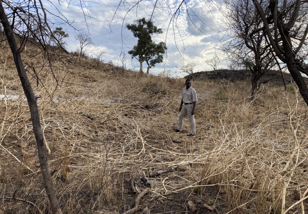 Rewild Capital | Carbon Sequestration & Biodiversity Restoration in ...