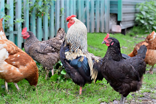 Deep Pond Farm & Stables - East Taunton, Ma