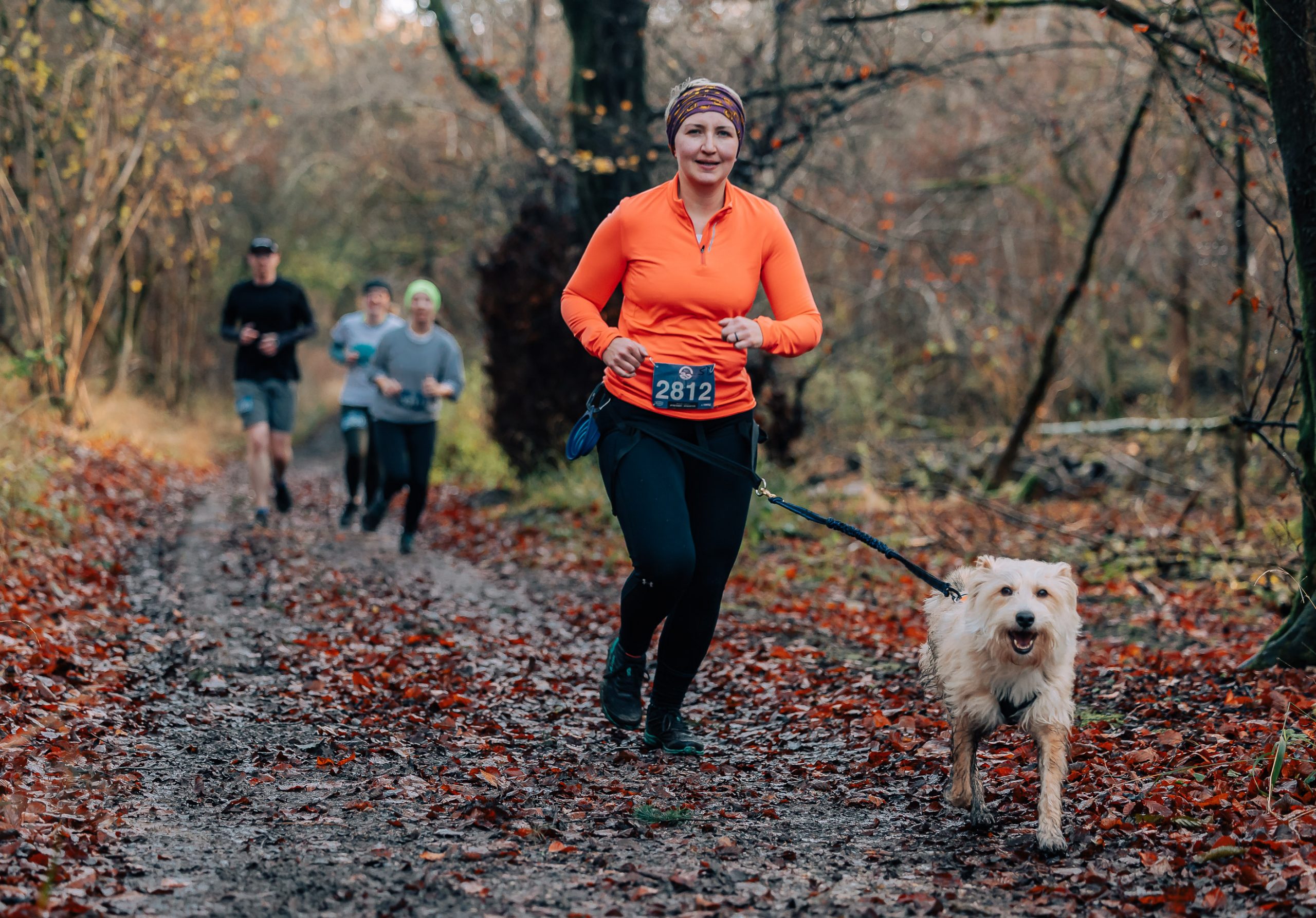 CANICROSS TRAINING: HOW TO GET STARTED AND THE BENEFITS OF RUNNING WITH YOUR DOG - Let's Do This