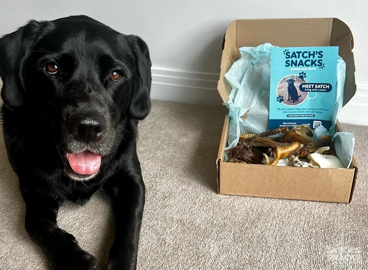100% Natural Dog Treats - Satch's Snacks