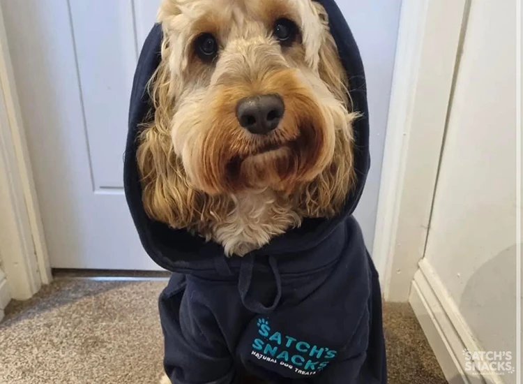 100% Natural Dog Treats - Satch's Snacks