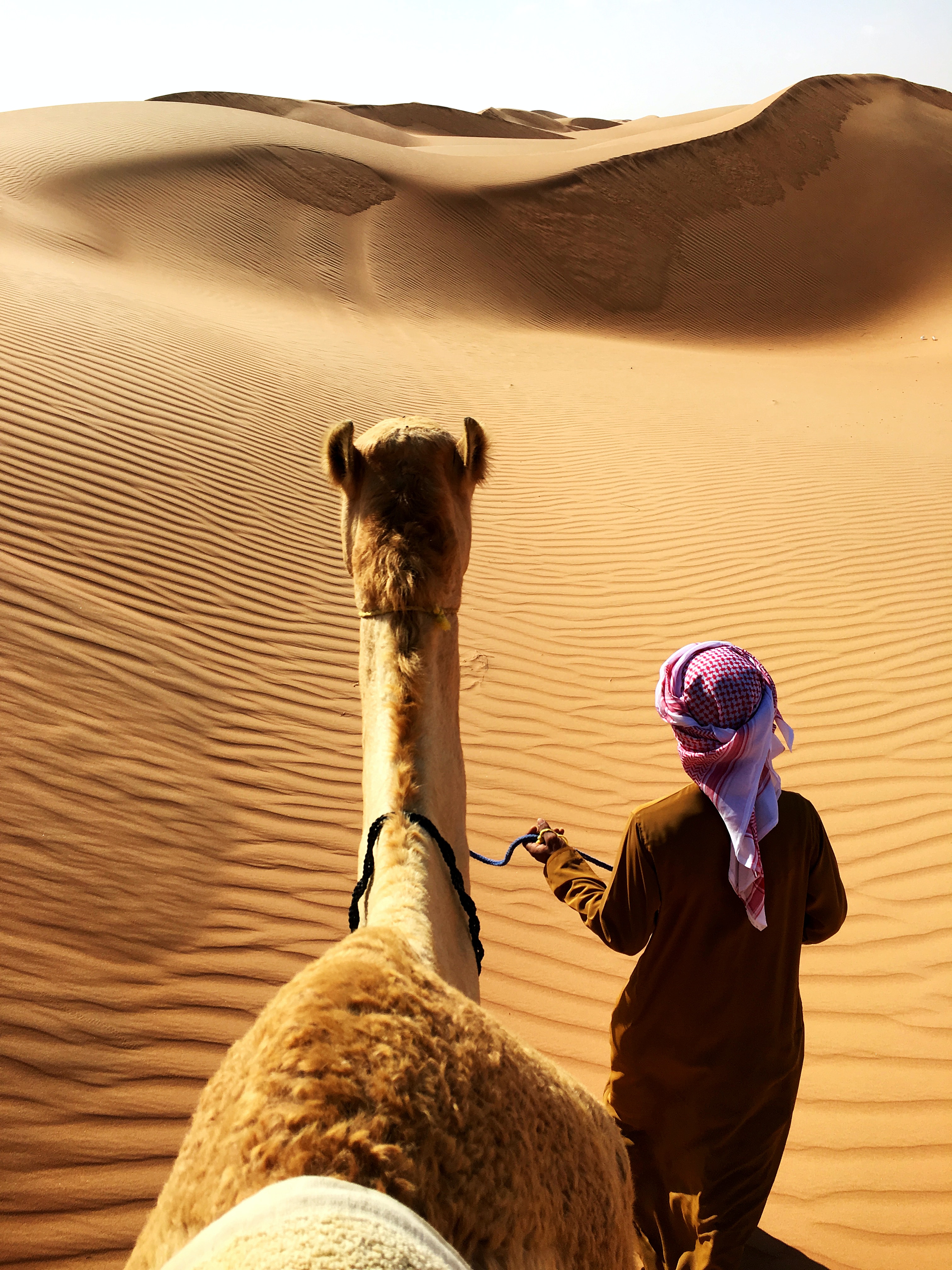 Discover Oman: Adventure, Culture, & Leisure - Discover your perfect ...