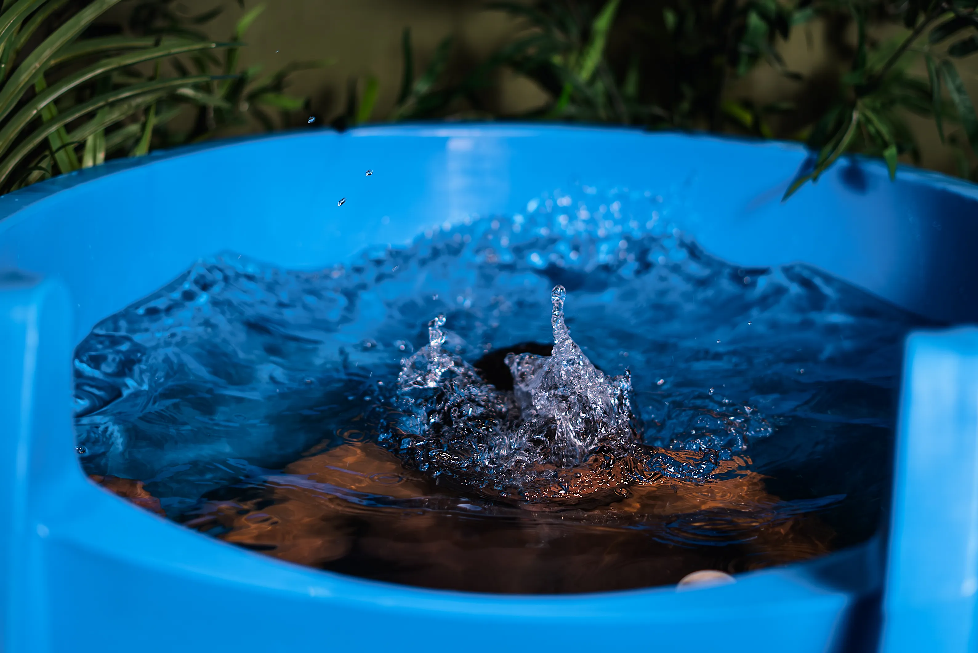 SEVEN, Wellness Redefined.