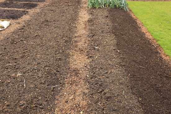 March 2021 new no dig gardens, starting seeds, potting composts and trays