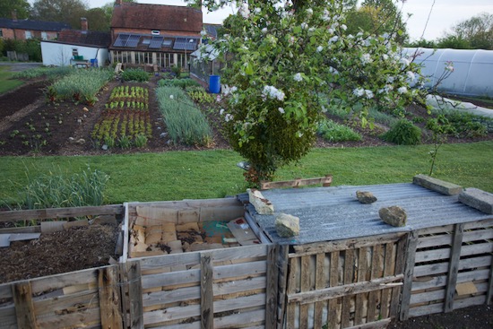 Mid May 22 many new plantings, make lots of compost, my trials of ...