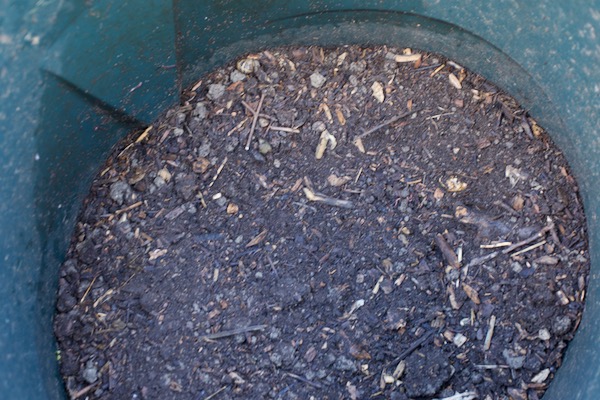 November 2022 make and spread compost, prevent pests, deal with weeds ...