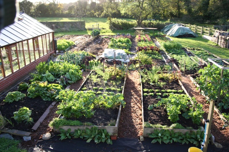 December 2017 trial results, storing veg for winter, compost mulches ...