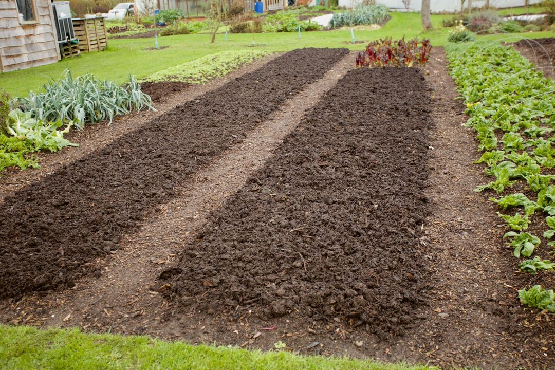 November 2021 make compost, sow broad beans, soil and compost biology ...