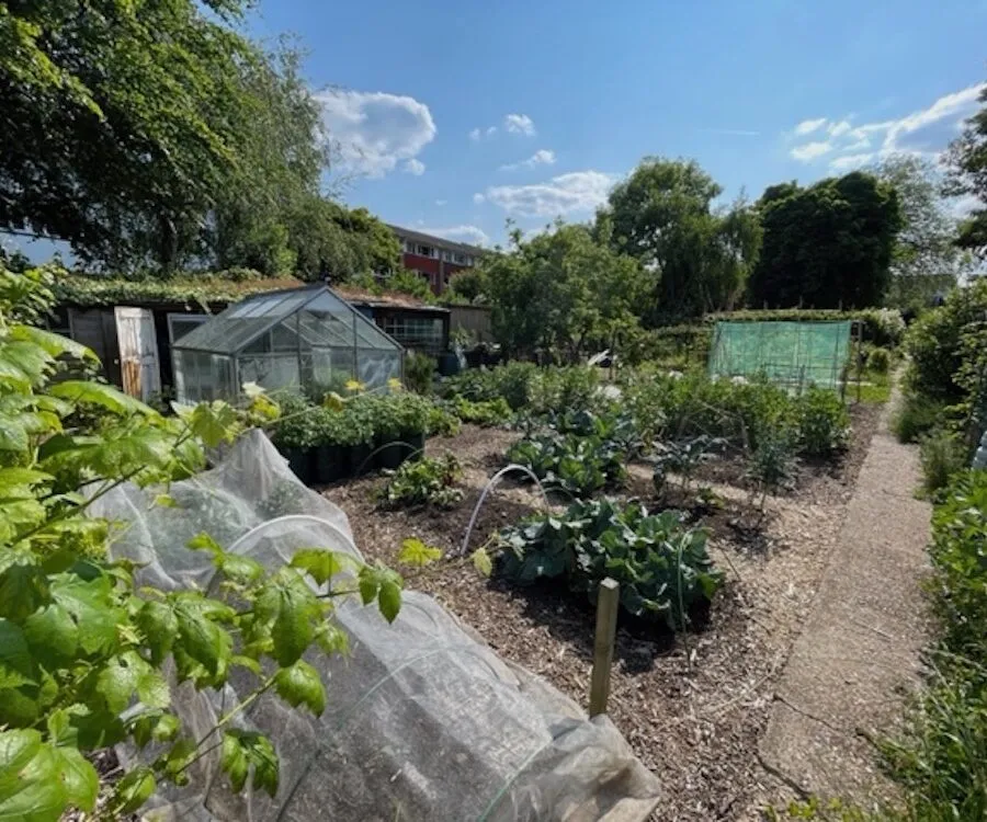 Allotments