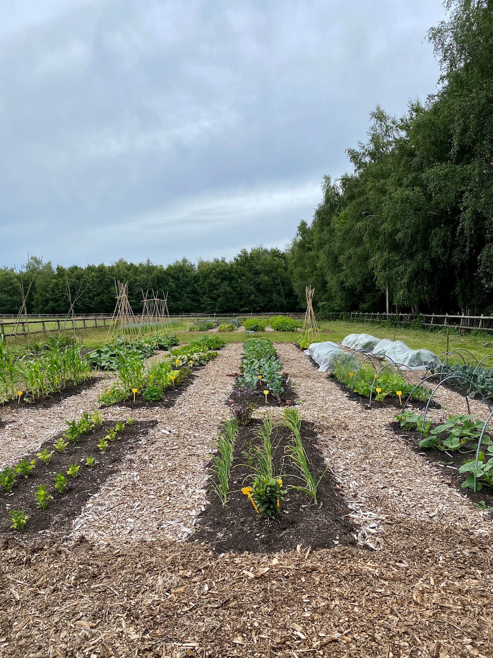 Erica Chladová and Robert van der Pol