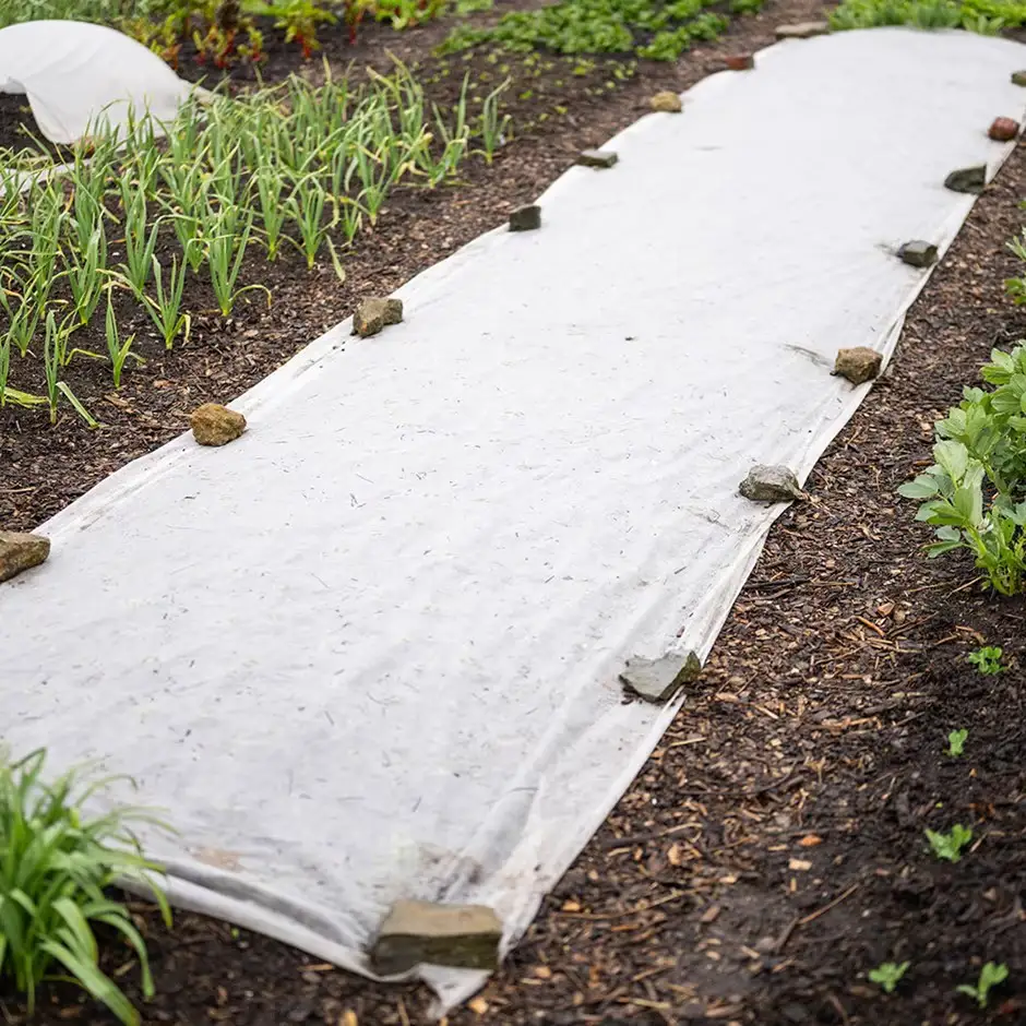 Biofleece plastic-free fleece