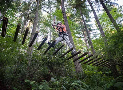 Canopy Tours NW | Zipline Adventures in Beautiful PNW Forest