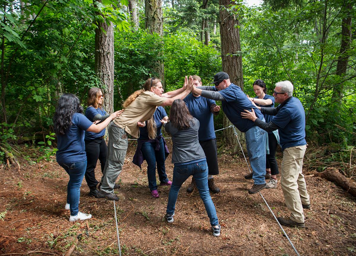 Canopy Tours NW: Great for Groups Like Yours