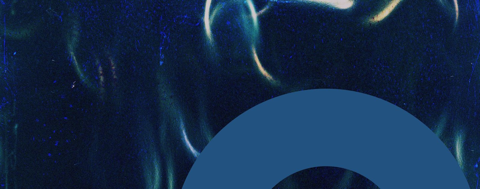 Keith Gross | Pacific Lake Partners