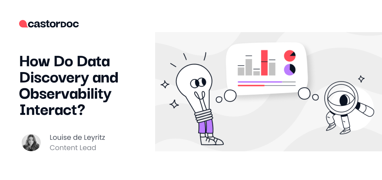 How Do Data Discovery and Observability Interact? - CastorDoc Blog