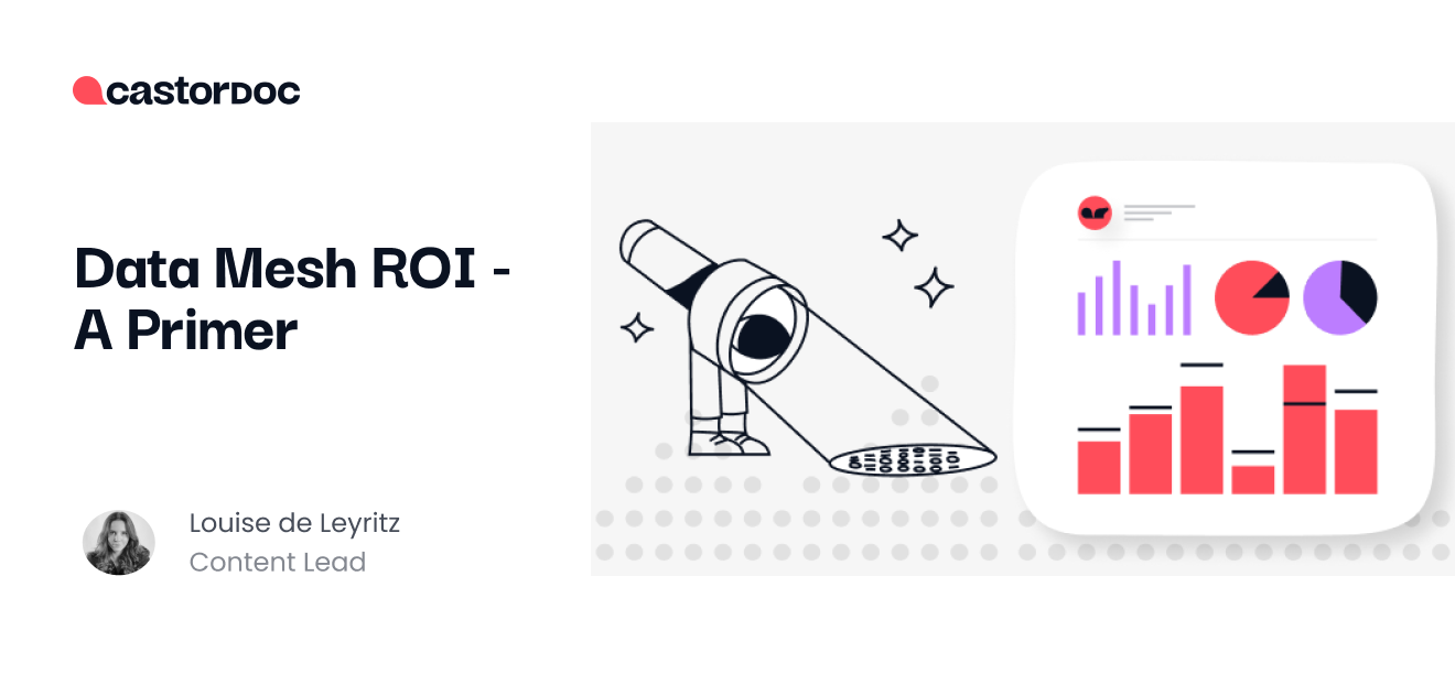 Data Mesh ROI - A Primer - CastorDoc Blog