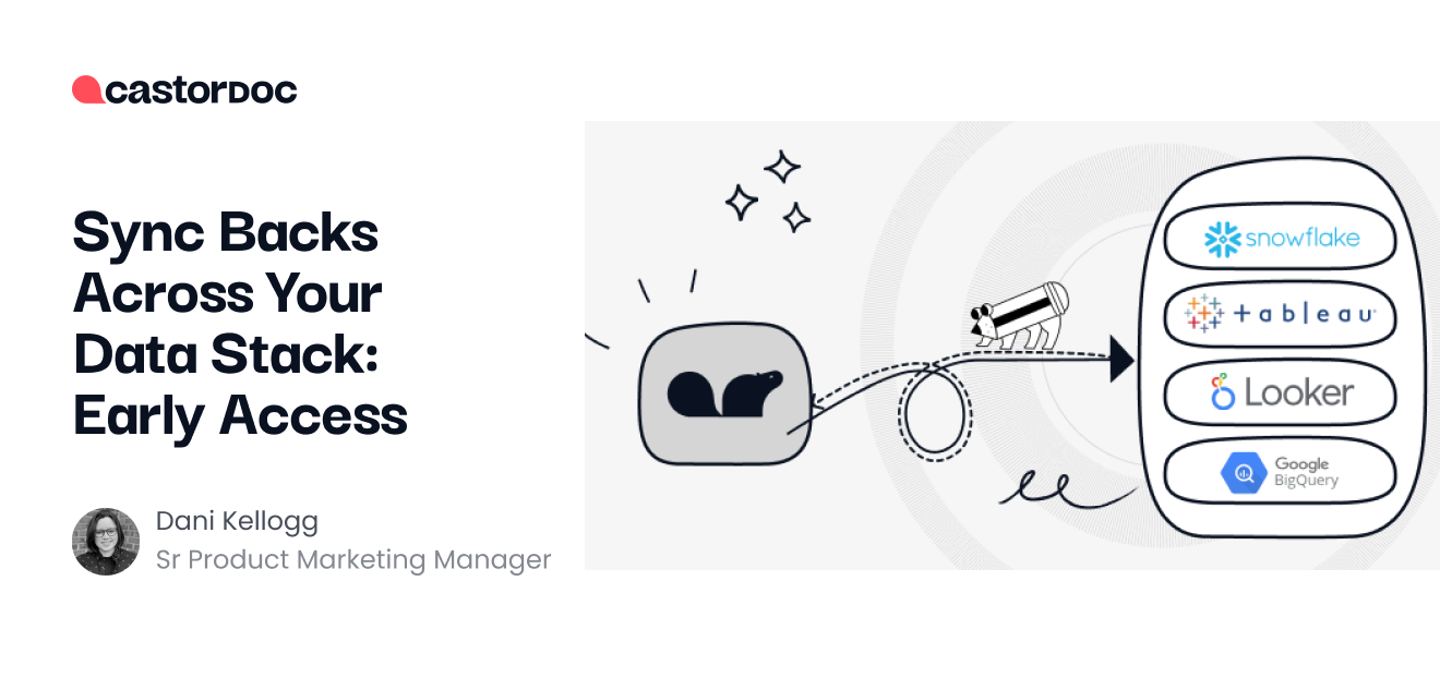 Sync Backs Across Your Data Stack - CastorDoc Blog
