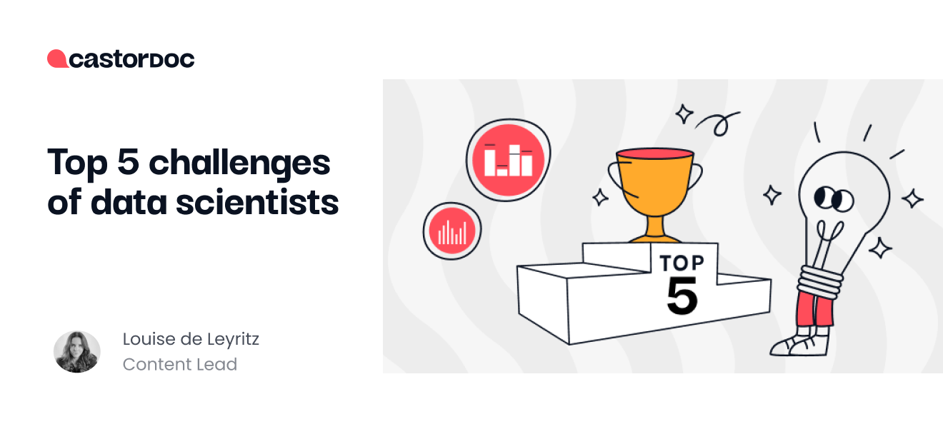 Top 5 challenges of data scientists - CastorDoc Blog