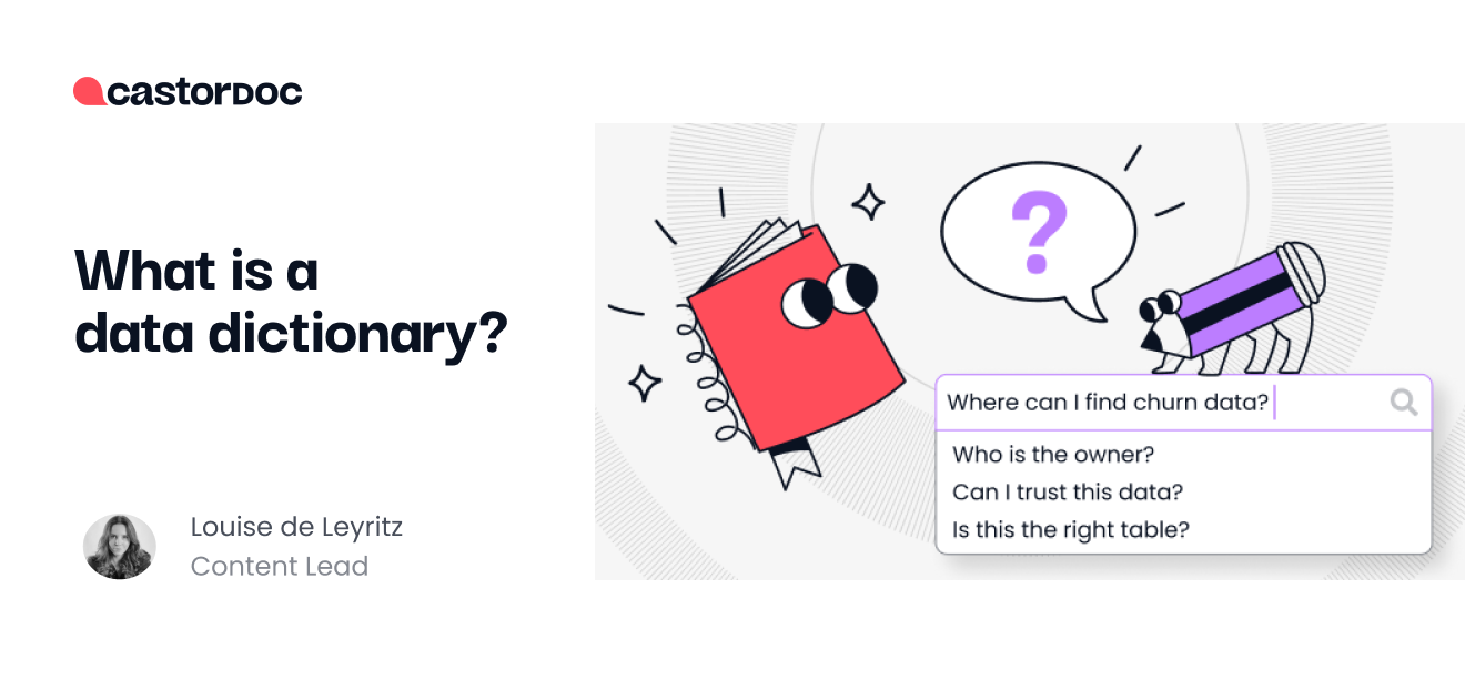 What is a Data Dictionary? - CastorDoc Blog