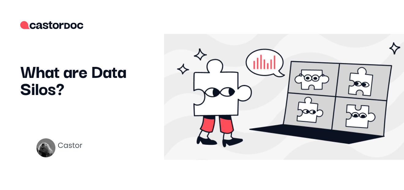 What are Data Silos? - CastorDoc Blog