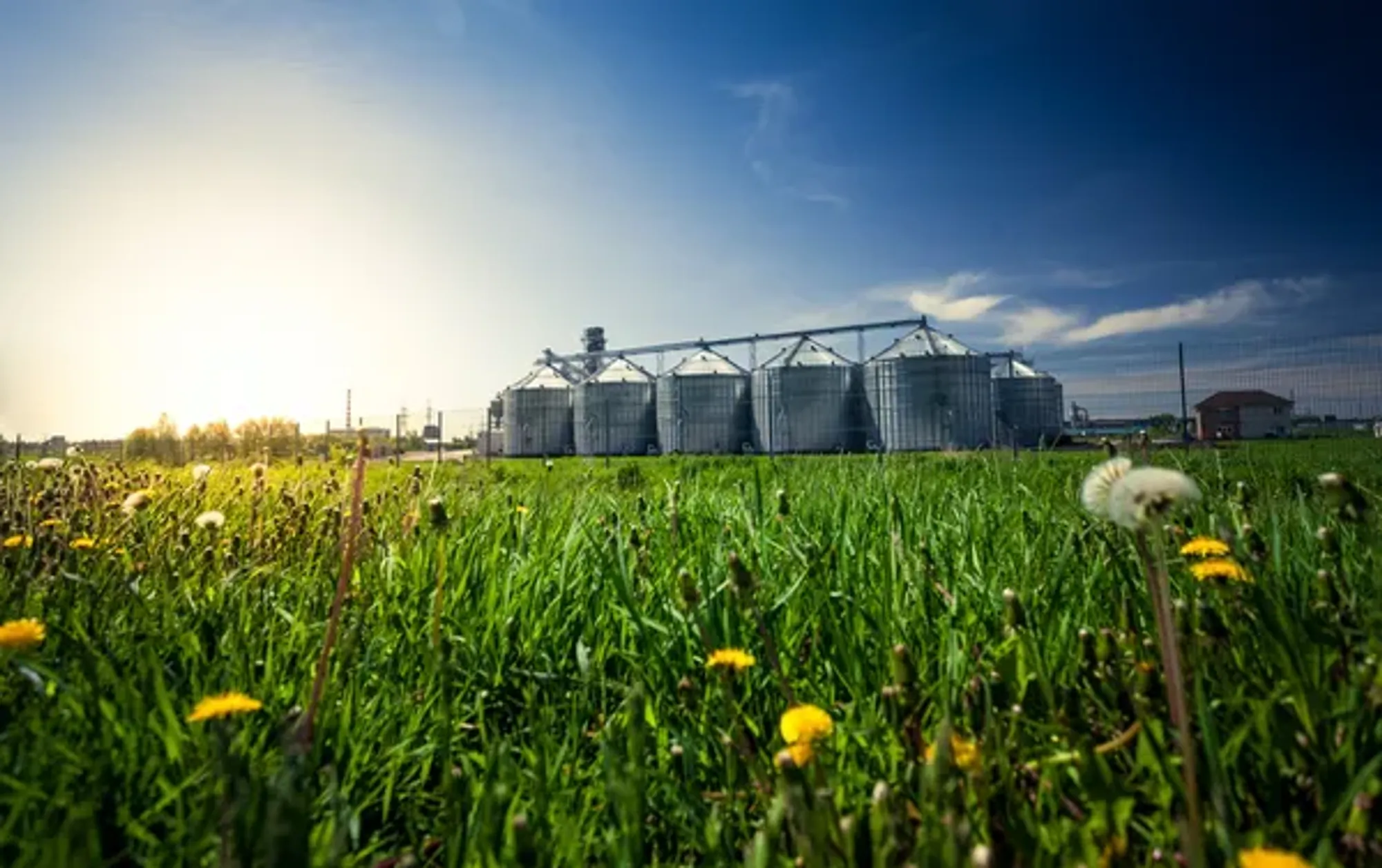 What are Data Silos? - CastorDoc Blog