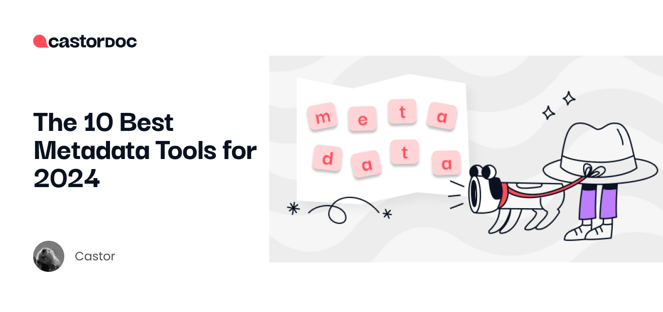 The 10 Best Metadata Tools for 2024 - CastorDoc Blog