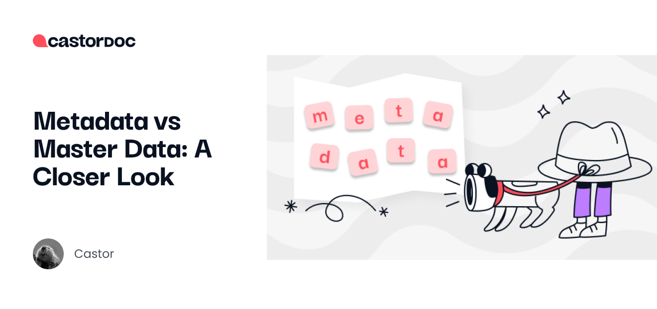 Metadata vs Master Data: A Closer Look - CastorDoc Blog