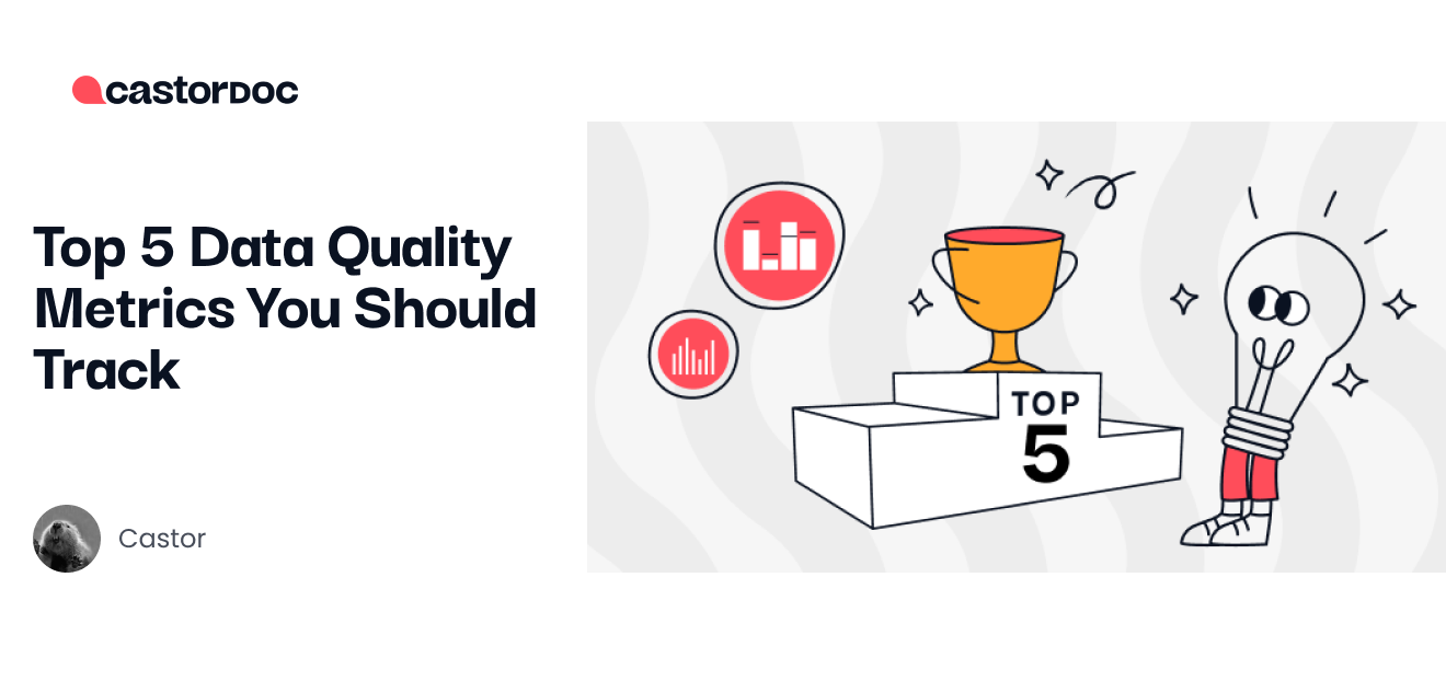 Top 5 Data Quality Metrics You Should Track - CastorDoc Blog