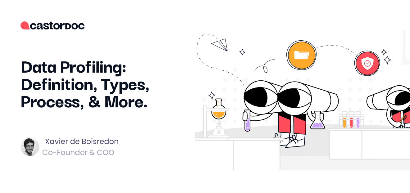 Data Profiling: Definition, Types, Process, & More. - CastorDoc Blog