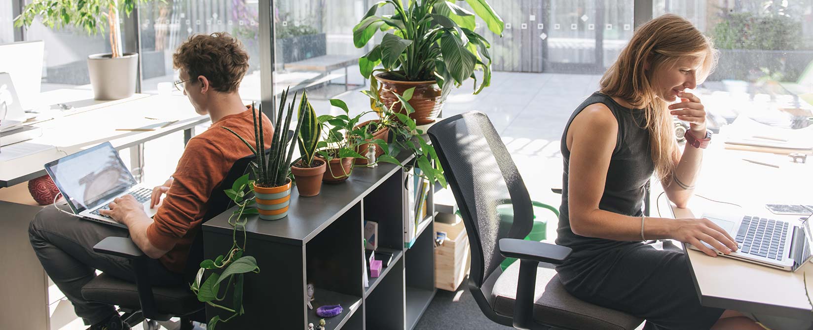 Small & Midsize Business Network Solutions: Empowering SMBs with ...