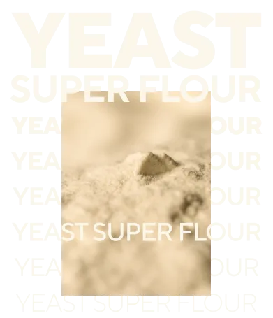 Single-Cell Ingredients from Upcycled Yeast