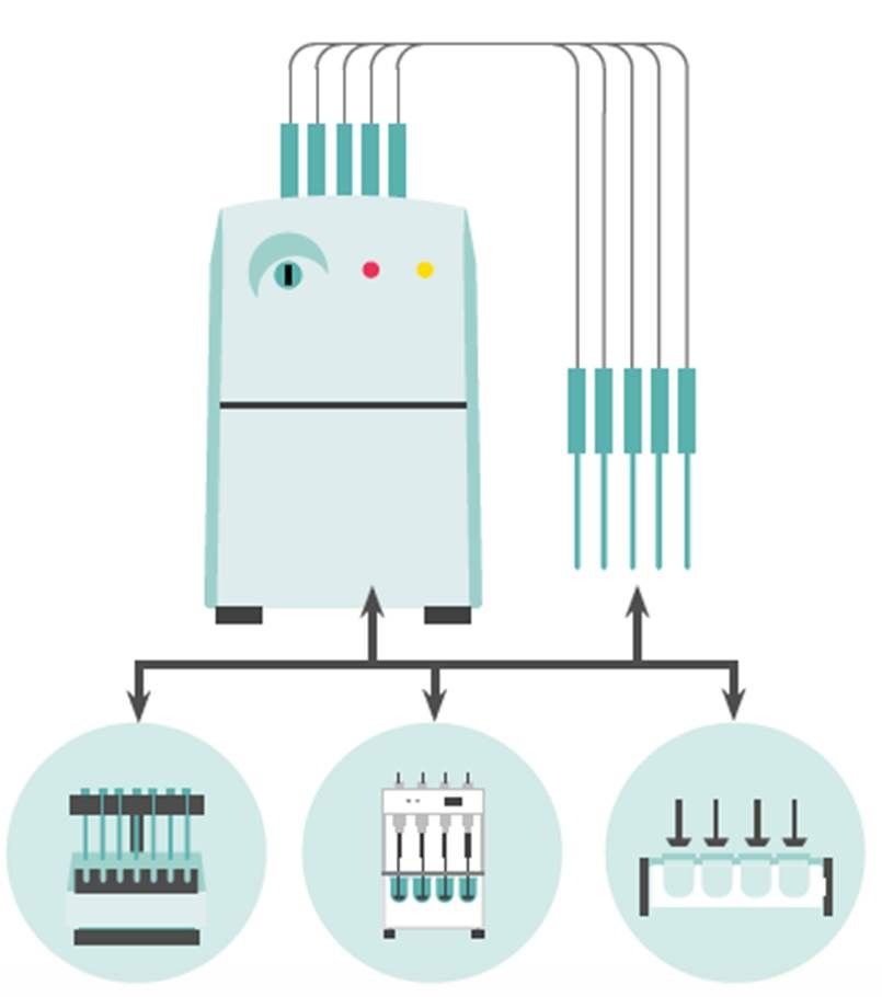 Introducing NEW Rainbow R6