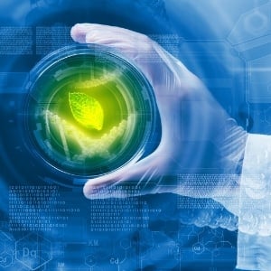 Plant and Animal Cell Homogenization: Similarities and Differences