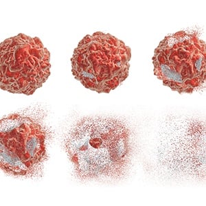 Cell Rupture: Detergents vs Traditional Physical Methods
