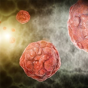 Cell Lysis 101: 6 Ways to Disrupt Cells