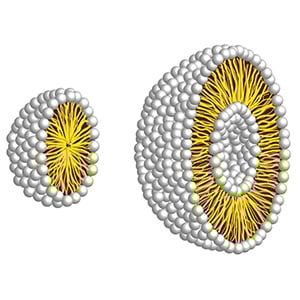 An Overview of Colloidal Drug Carrier Systems: Part 2
