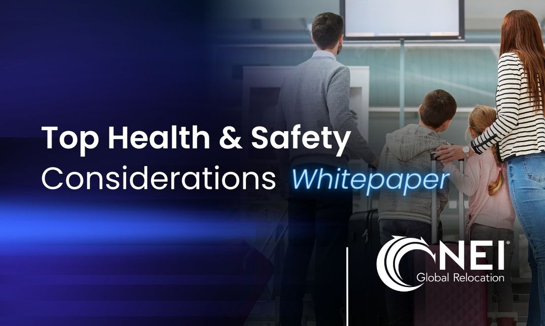 Global Relocation: Strategies for Safety, Health, and Success Abroad