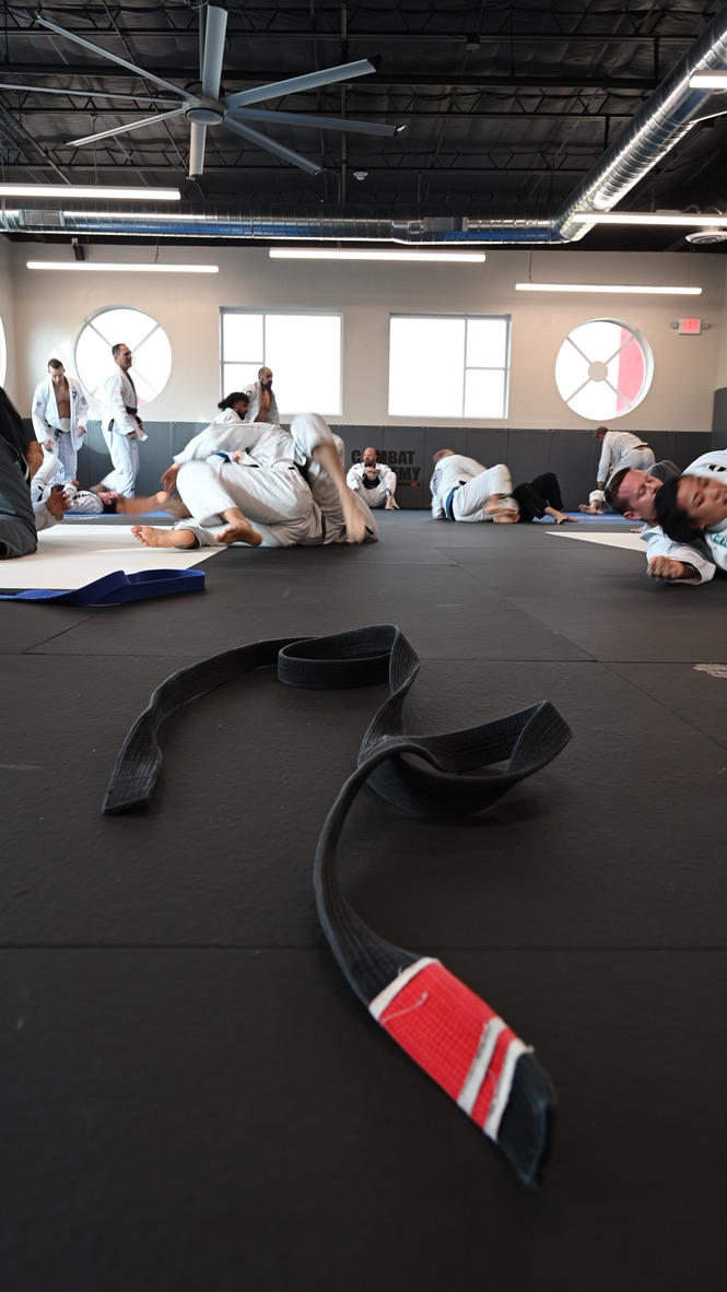 Brazilian Jiu Jitsu - About