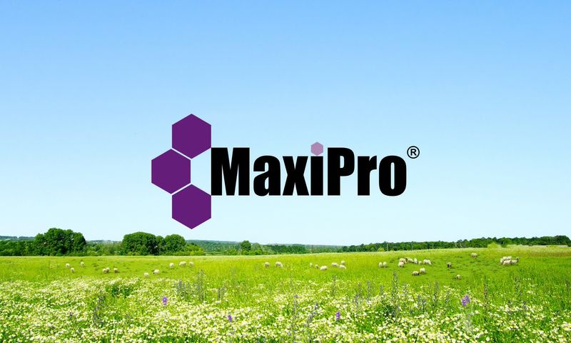 MaxiPro