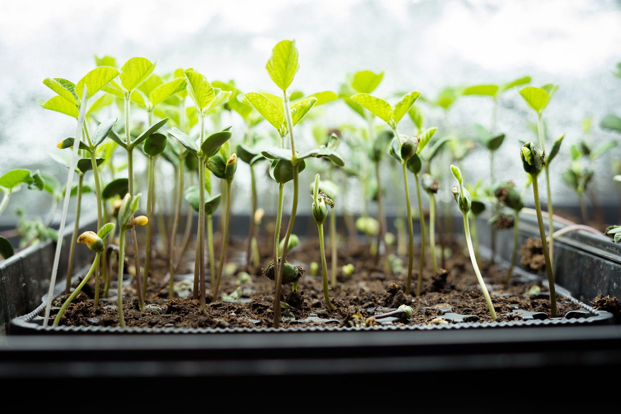 Knowledge Sharing I TraitSource